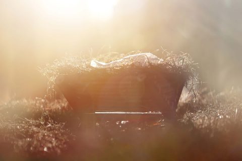 The Holy Light of Bethlehem Morning | Impact for Living